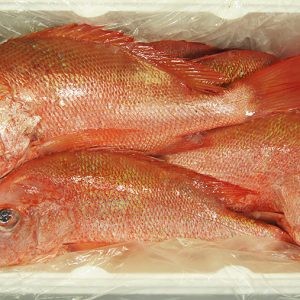 Seafood Warehouse